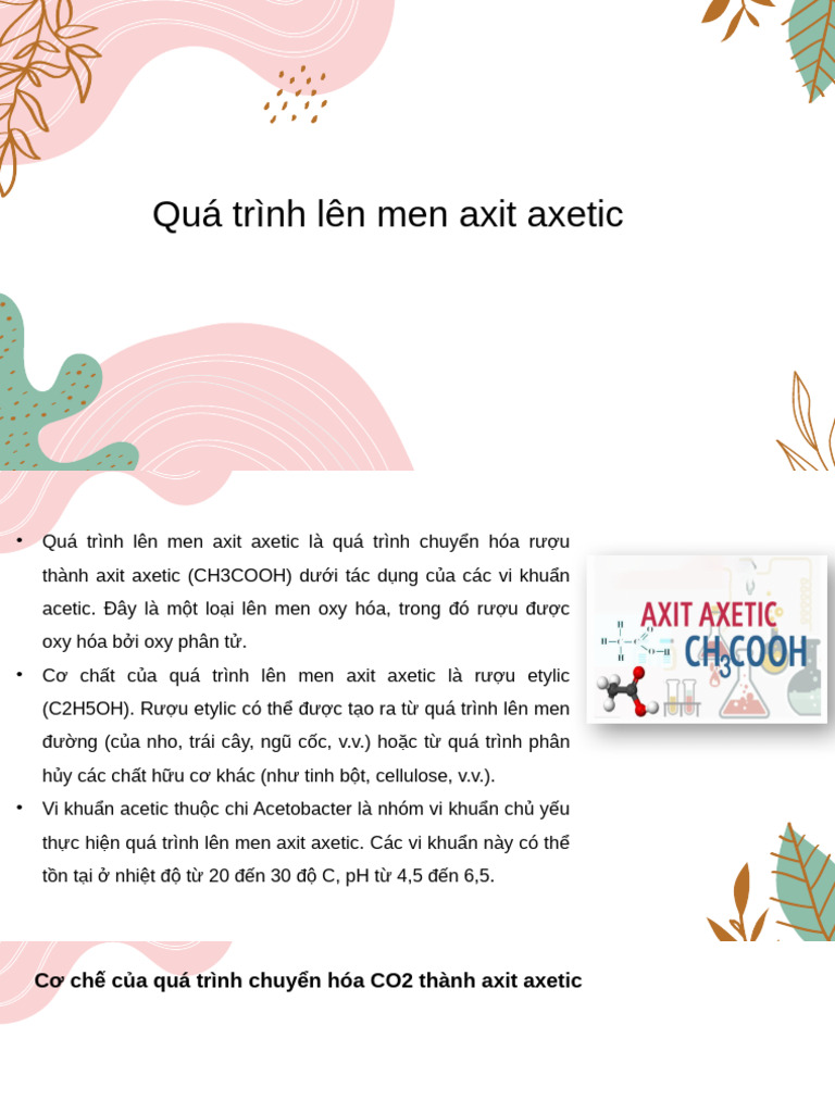 Axit Axetic - So Sánh | PDF