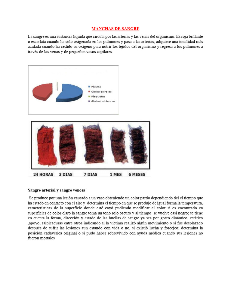 MANCHAS DE SANGRE word | PDF | Vena | Artería