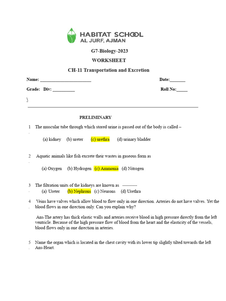 Answer Key | PDF | Urinary System | Kidney