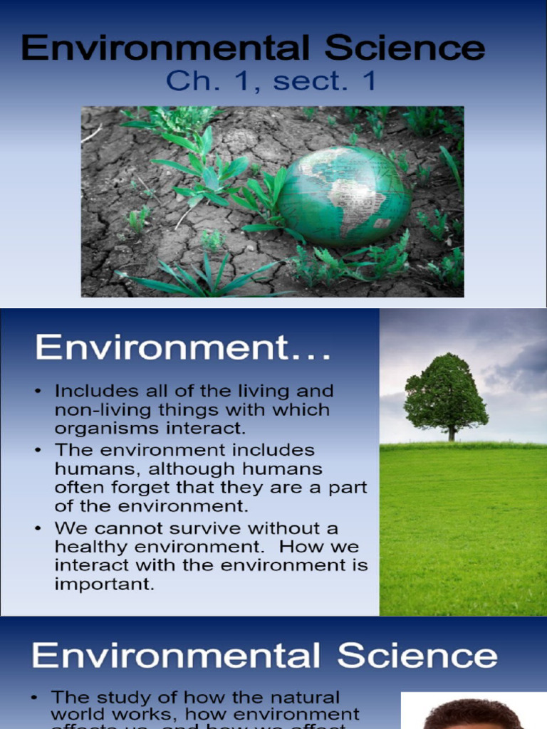 Environment | PDF