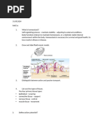 Cell Transport Concept-Map | PDF | Membrane Biology | Life Sciences
