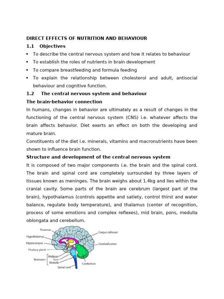 Nutrition's Impact on Brain Development | PDF | Central Nervous System | Cholesterol