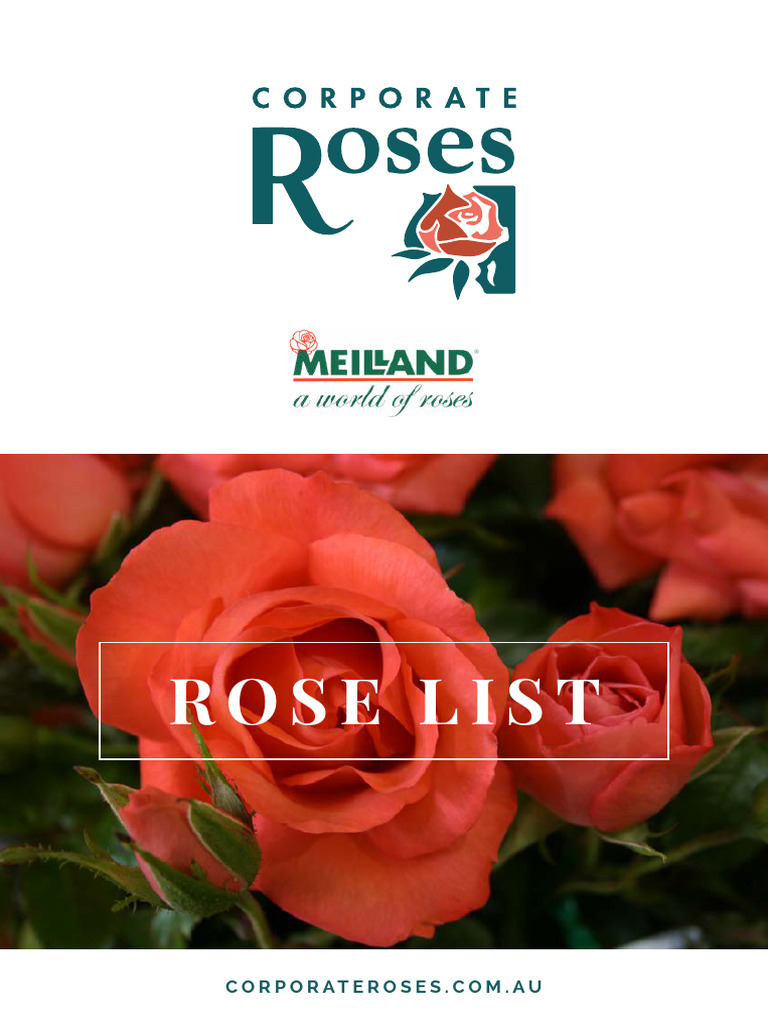 Corporate Roses Rose Catalogue DIGITAL | PDF | Rose | Shrub