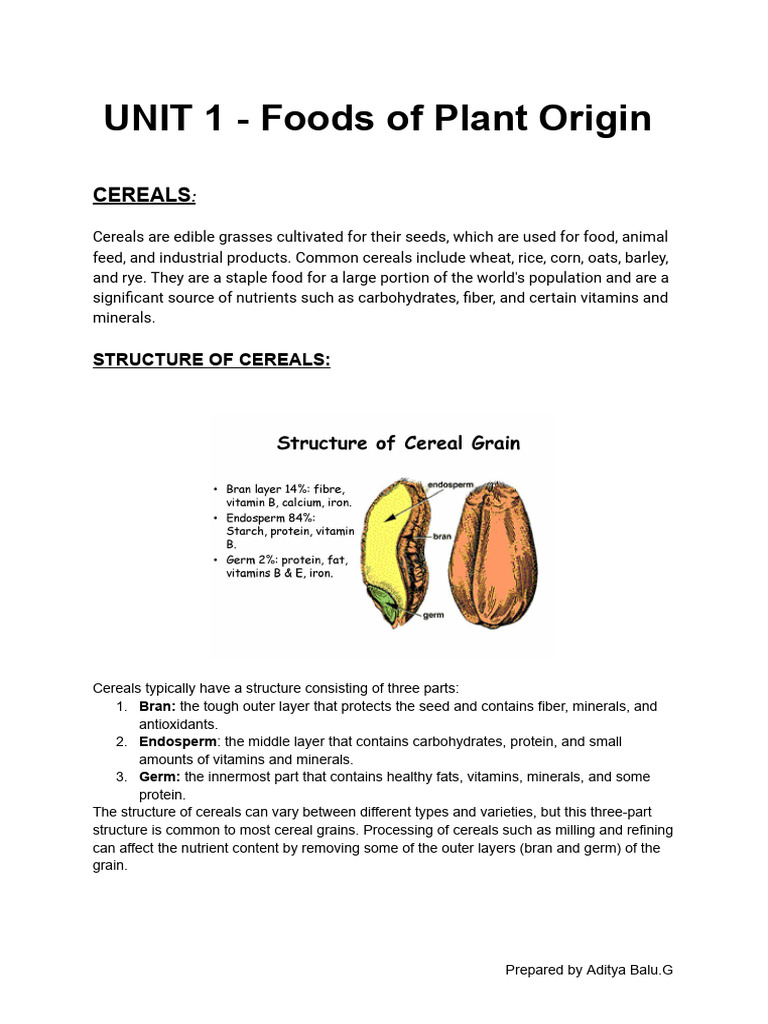 1st Sem Food Nutrition Notes | PDF | Nut (Fruit) | Dietary Fiber