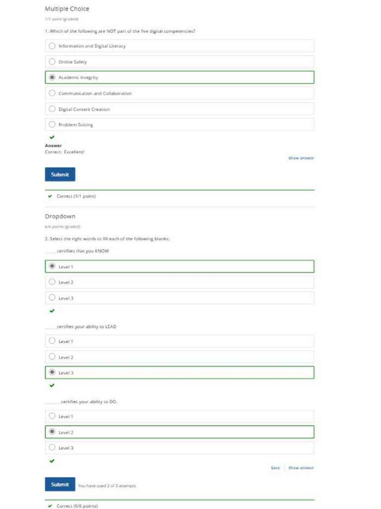 Strategies For Successful Online Learning | PDF