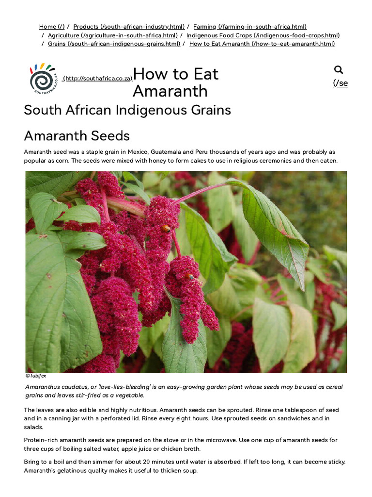 Amaranth: Nutritional Benefits & Uses | PDF | Crops | Cuisine