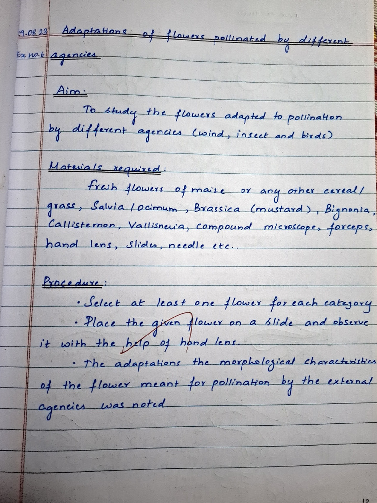 Bio Record Sec B | PDF