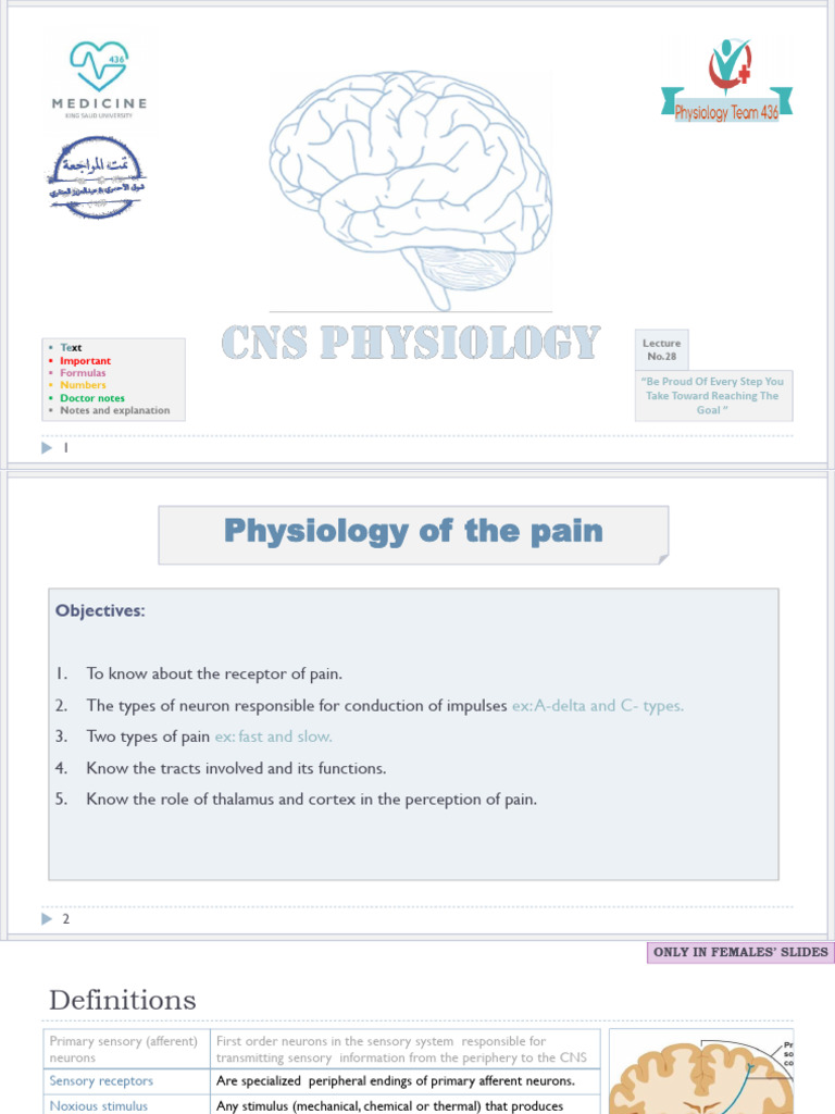 28 - Physiology of The Pain | PDF | Pain | Stimulus (Physiology)