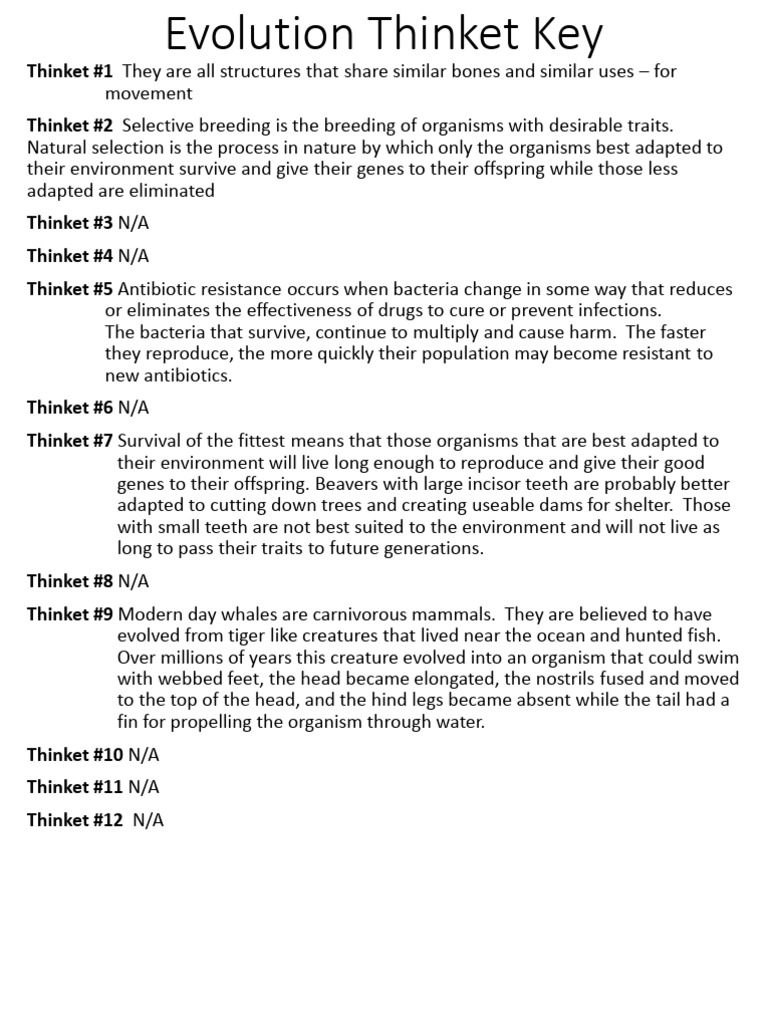 Key Concepts of Evolution Thinkets | PDF | Wellness | Science & Mathematics
