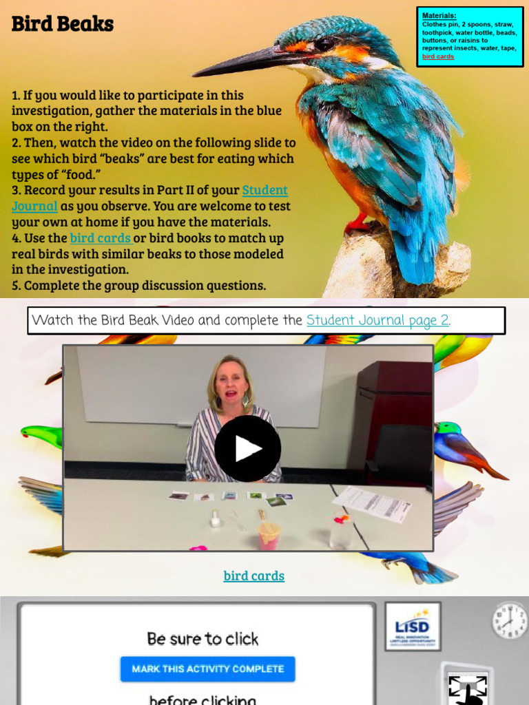 13.5 Lesson Bird Beaks - LIVE Webex | PDF | Wellness