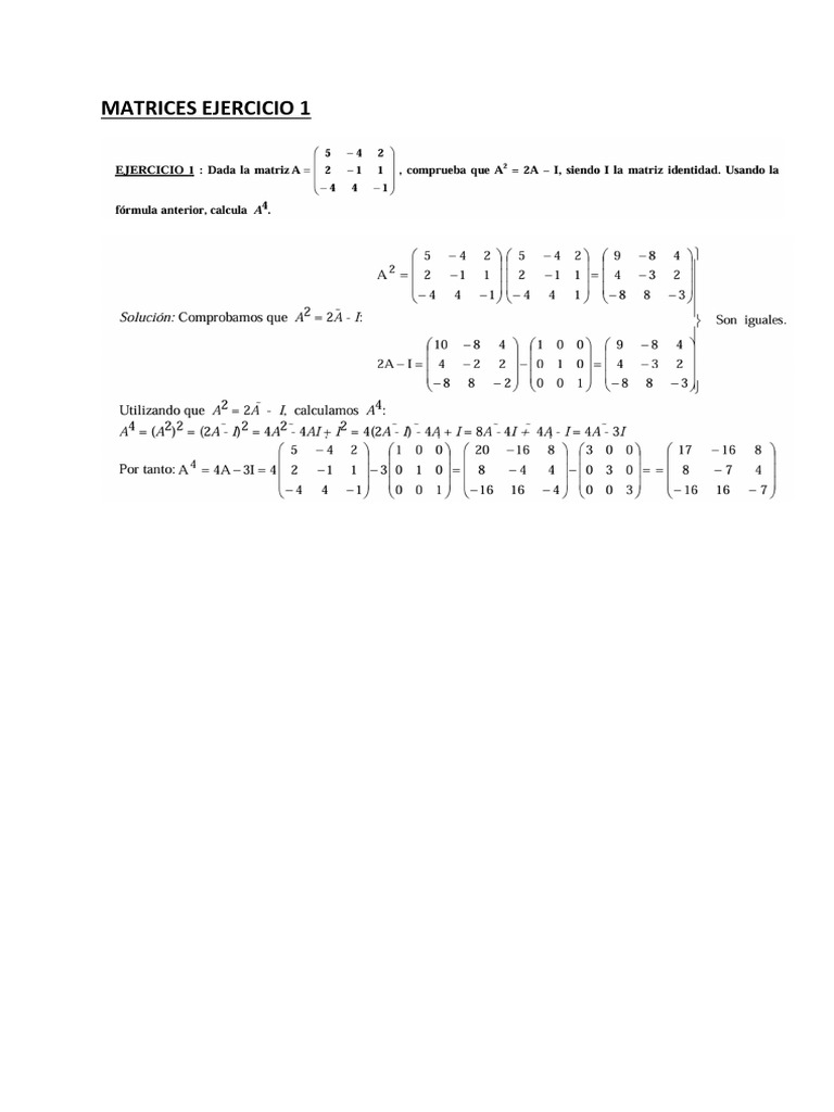 Matrices Ejercicio 1 | PDF