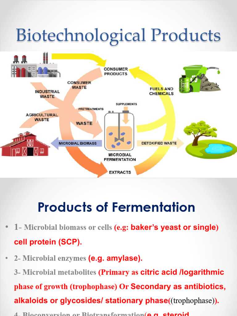 Biotechnology 3rd Lecture | PDF | Microorganism | Yeast