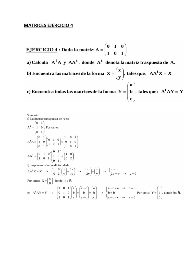 Matrices Ejercicio 4 | PDF