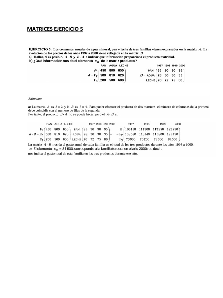 Matrices Ejercicio 5 | PDF