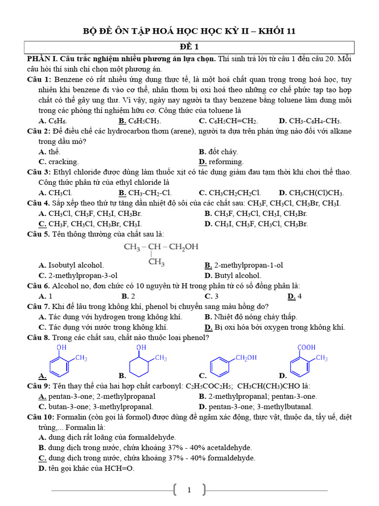 Đáp Án Đề Ôn HKII K11 Năm 2024 | PDF