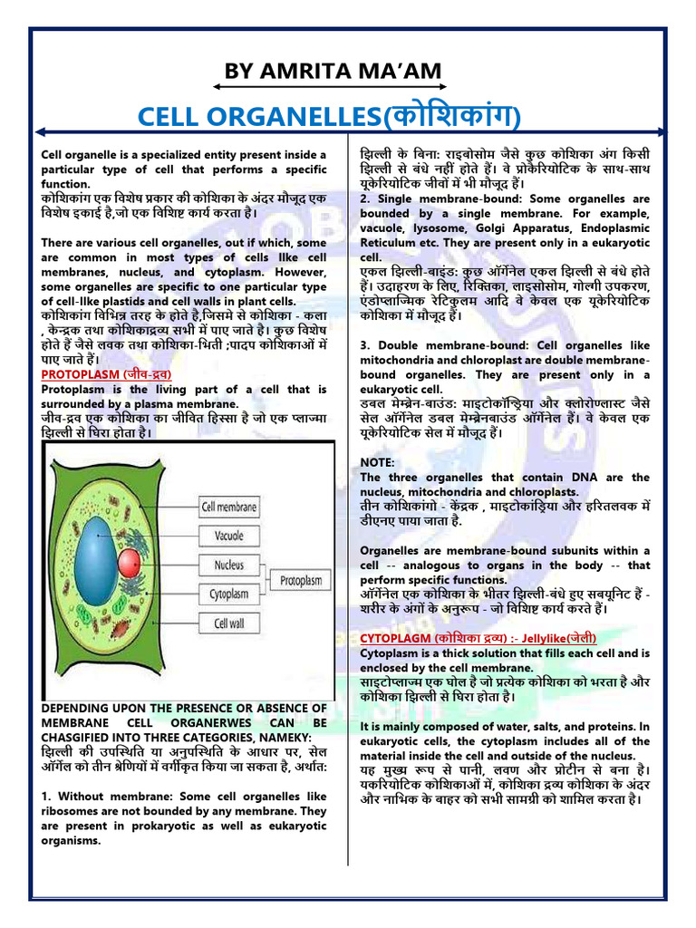 3 Cell Organelles Uplodingcell | PDF