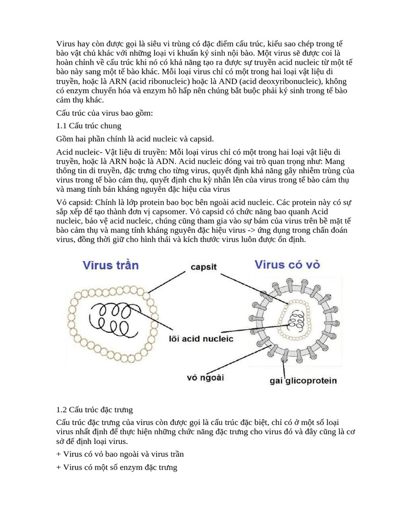 vi sinh | PDF