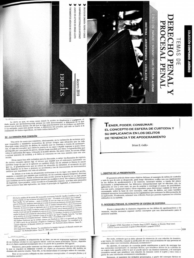 Tener, Poder, Consumar... Brian E. Gallo | PDF