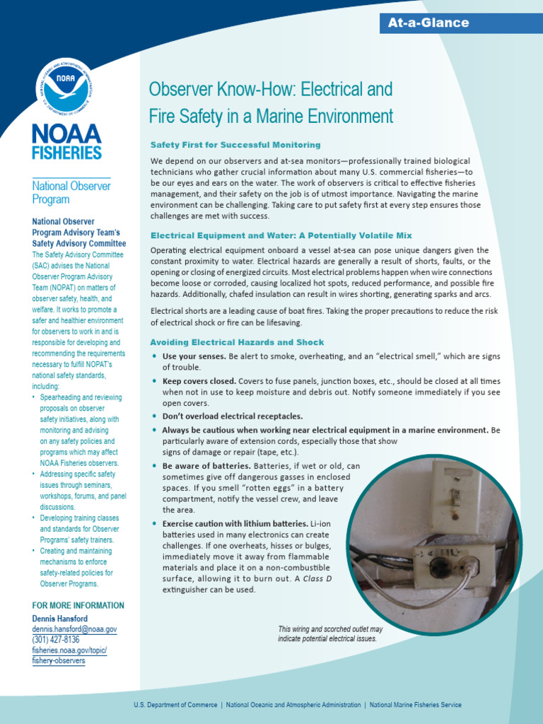 Electrical Safety Updated Format 2021.508 | PDF | Safety | Electricity