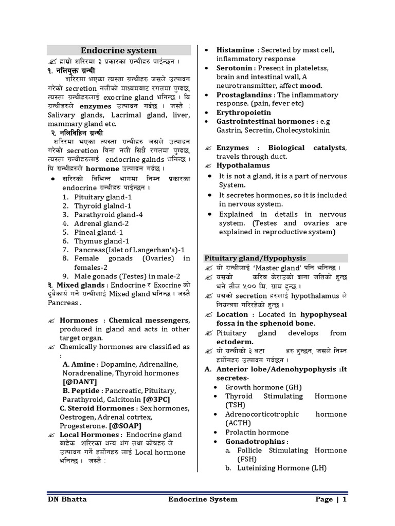 1.8 Endocrine System | PDF | Endocrine System | Thyroid