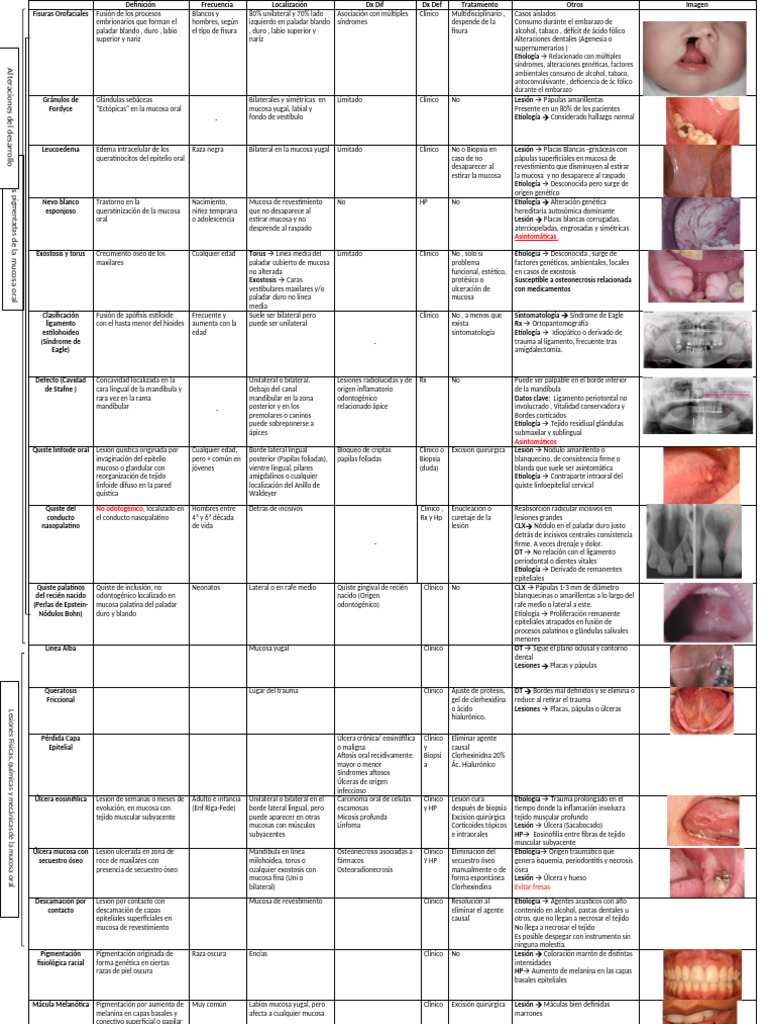 tablas MO | PDF | Hueso | Membrana mucosa