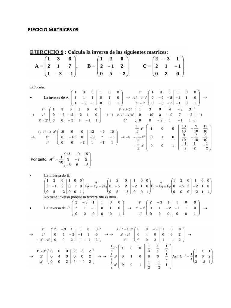 Matrices ejercicio 9 | PDF