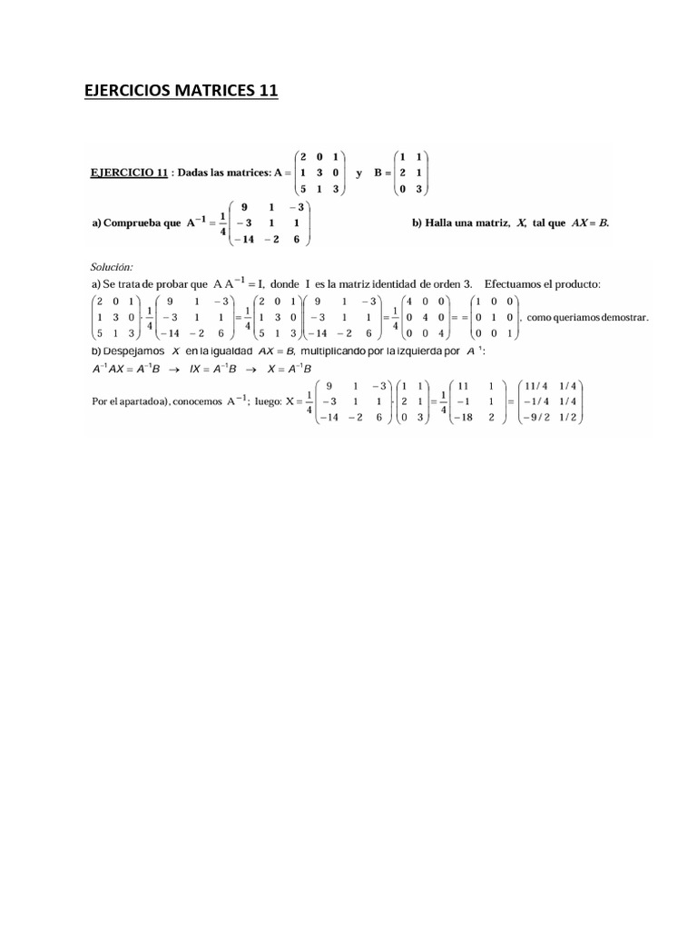Matrices Ejercicio 11 | PDF