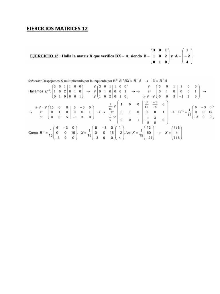 Matrices ejercicio 12 | PDF