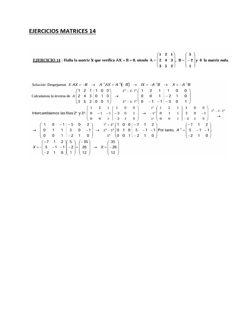 Matrices Ejercicio 14 | PDF