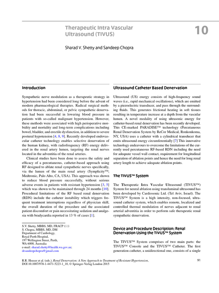 Renal Denervation A New Approach To Treatment of R. - (10 Therapeutic ...