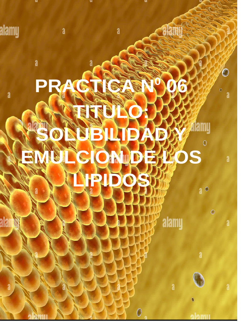 PRACTICA6 | PDF | Lípido | Solubilidad