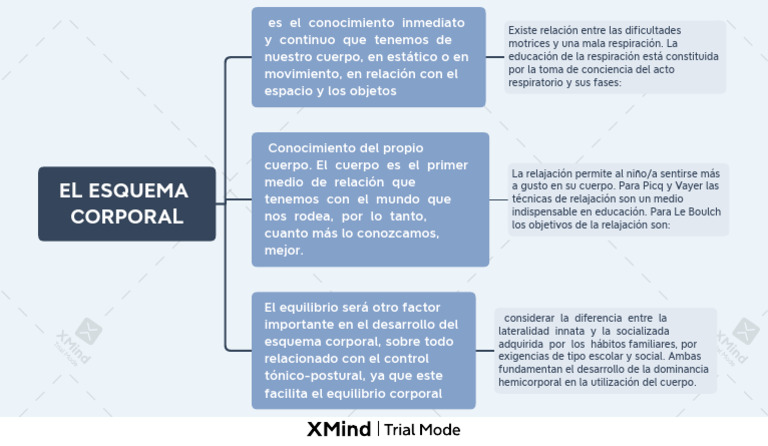 El Esquema Corporal | PDF