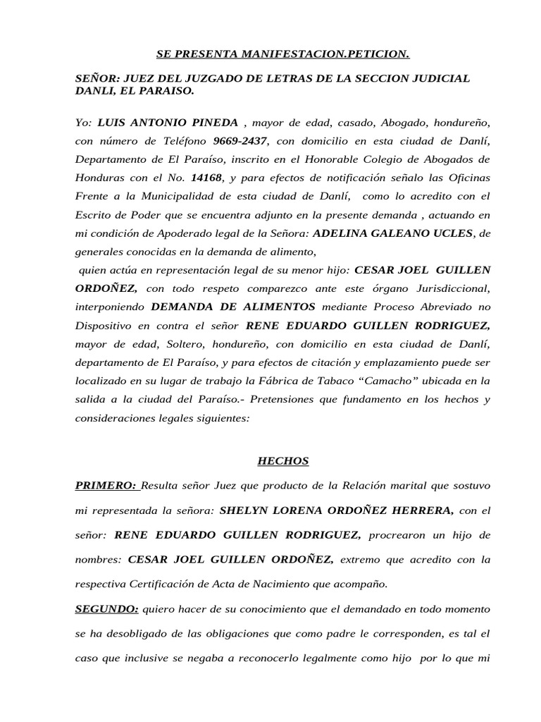 Demanda de Alimentos Emily Zavala | PDF | Demanda judicial | Pensión ...