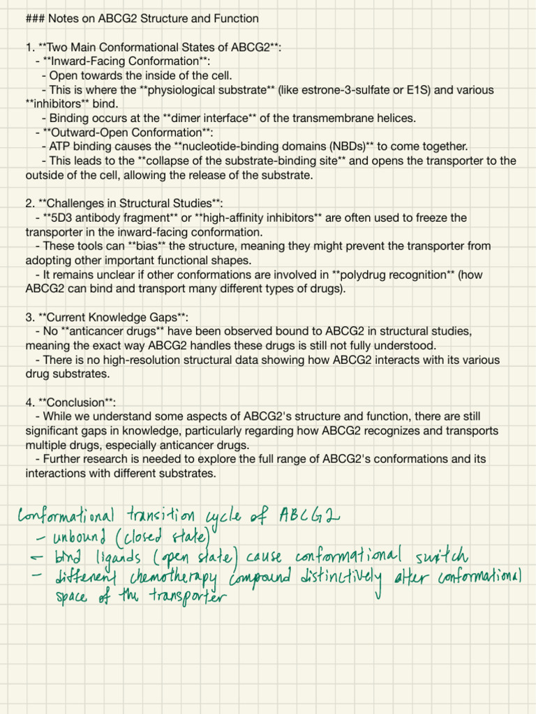 3 ABC Transporter Overview | PDF | Protein Structure | Proteins