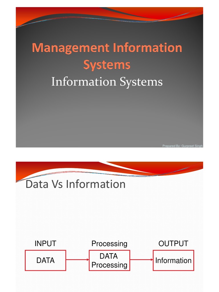Understanding Information Systems Basics | PDF | Information System ...