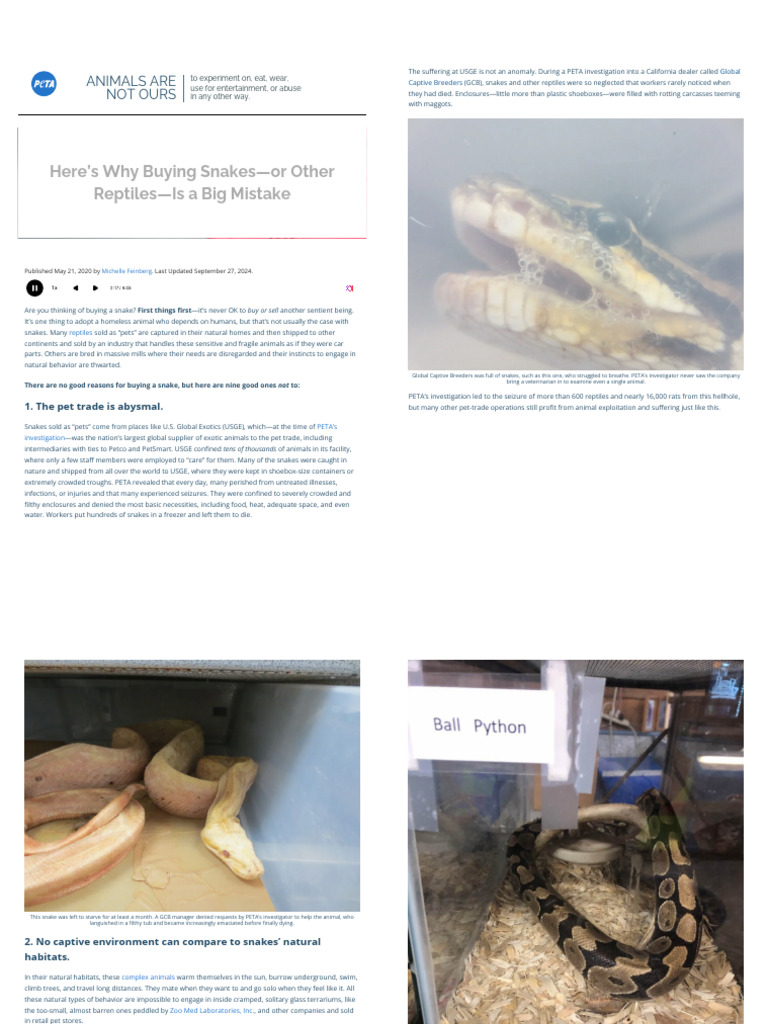 9 Reasons Why Buying A Snake Is A Terrible Idea - PETA | PDF | Pet | Snake 9 Reasons Why Buying A Snake Is A Terrible Idea - PETA | PDF | Pet | Snake