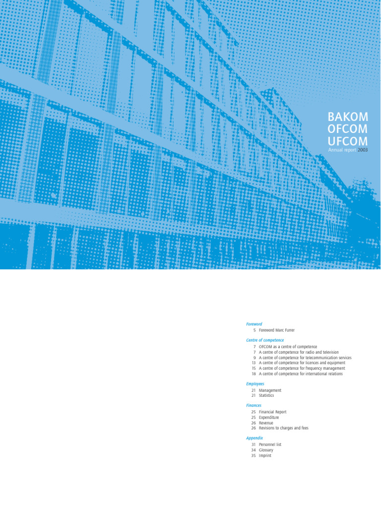 Annual Report 2003 | PDF | Internet | Radio