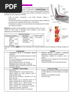 Mano en Garra: Causas y Tratamientos | PDF | Mano | Nervio