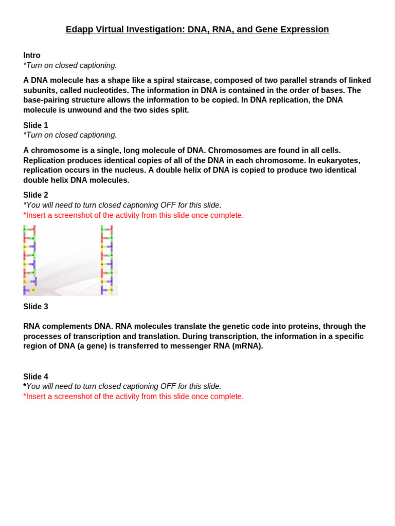 Edapp Virtual Investigation DNA, RNA, and Gene Expression | PDF | Rna | Dna