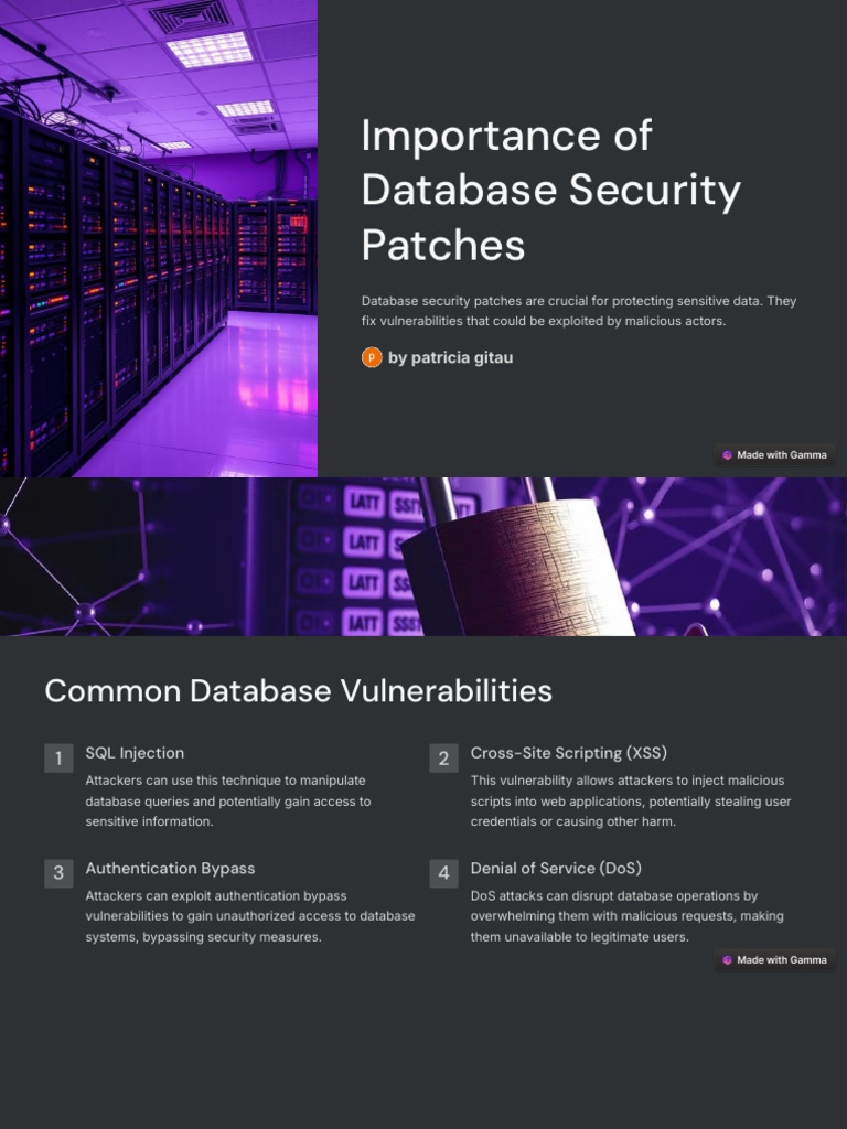 Essential Database Security Patches | PDF | Security | Computer Security