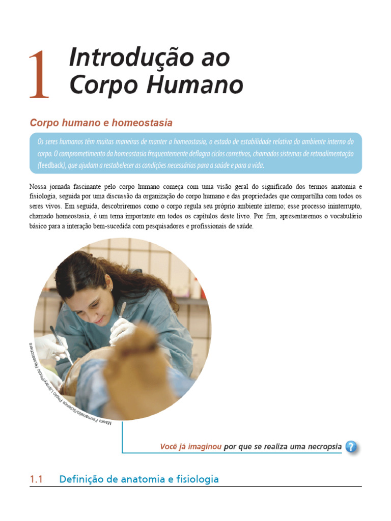 Anatomia e Fisiologia Humana | PDF | Corpo humano | Anatomia