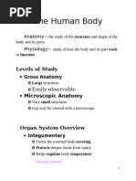 Anatomy and Physiology Flashcards | PDF