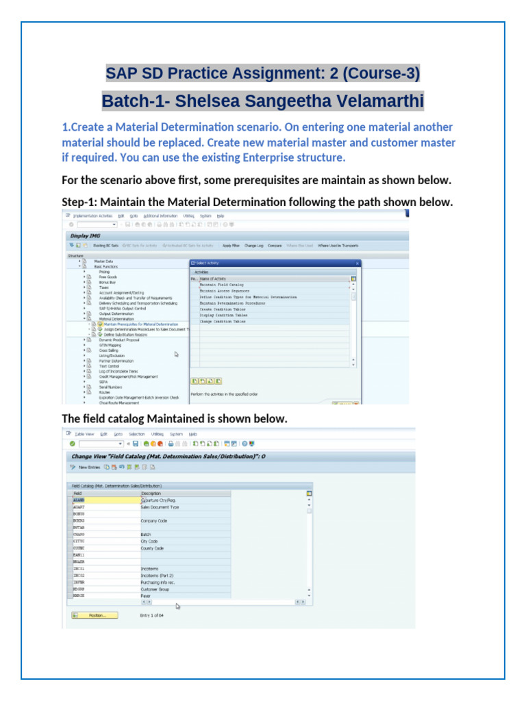 SAP SD Practice Assignment-2 Course-3 SAP SD BATCH-1 SHELSEA SANGEETHA.V | PDF | Computing