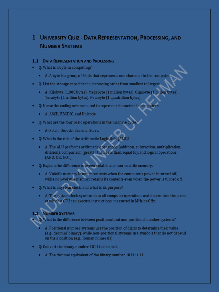 muneeb 1 | PDF | Random Access Memory | Central Processing Unit