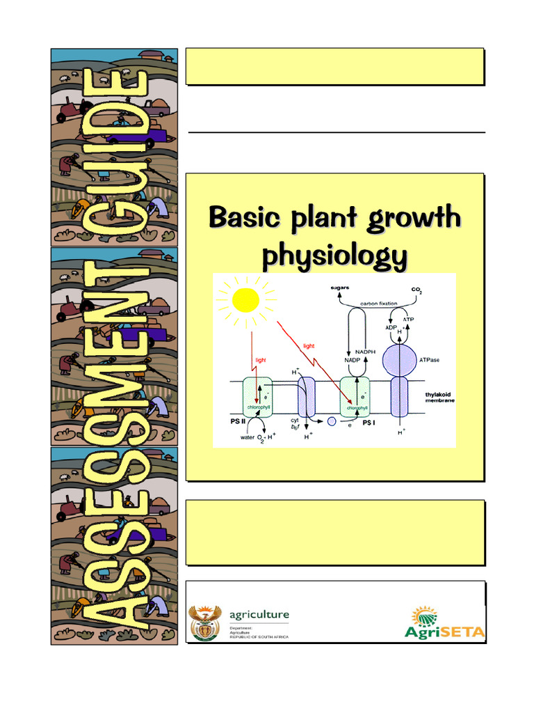 Basic Plant Growth Psysiology | PDF | Mitosis | Leaf