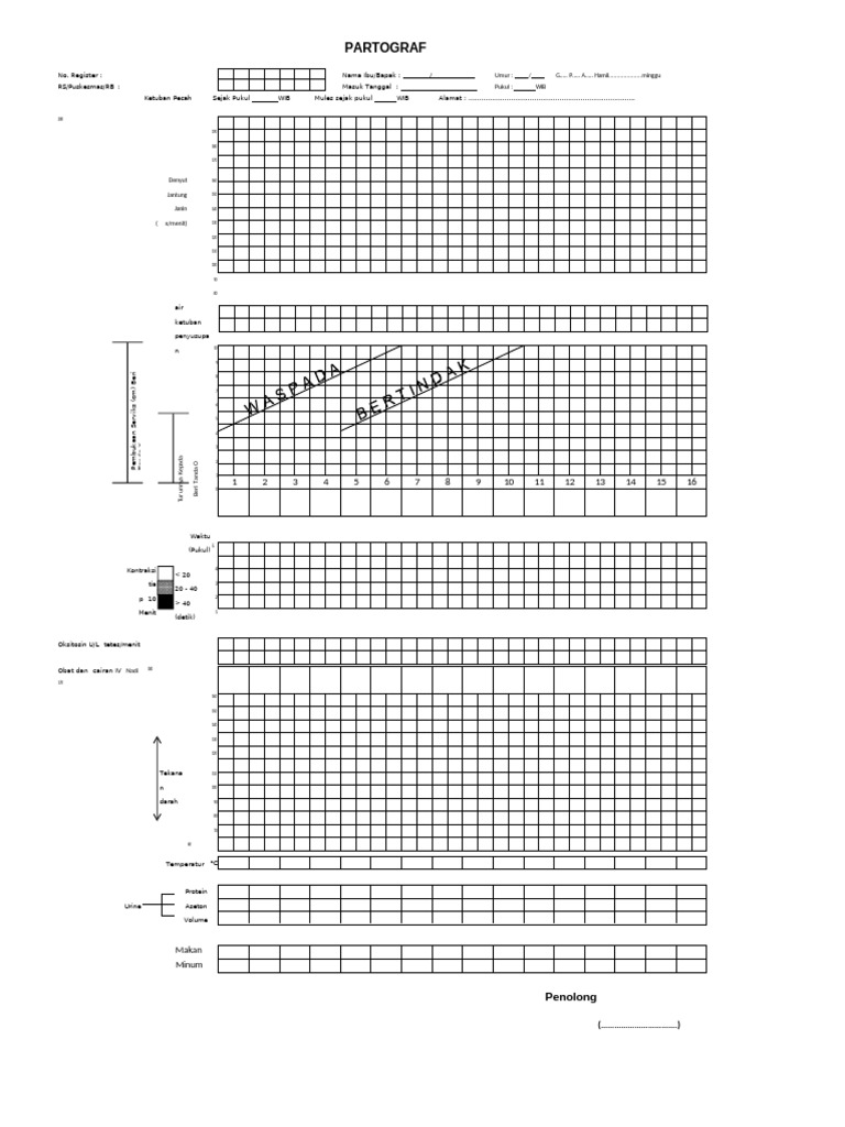 Panduan Lengkap Partograf Persalinan | PDF
