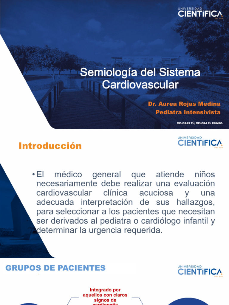 Semilogía Sistema Cardiovascular Julio 2020 | PDF | Electrocardiografia ...