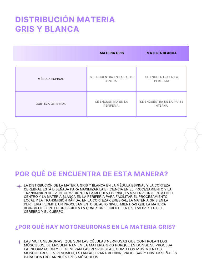 Tarea Martín SNP | PDF