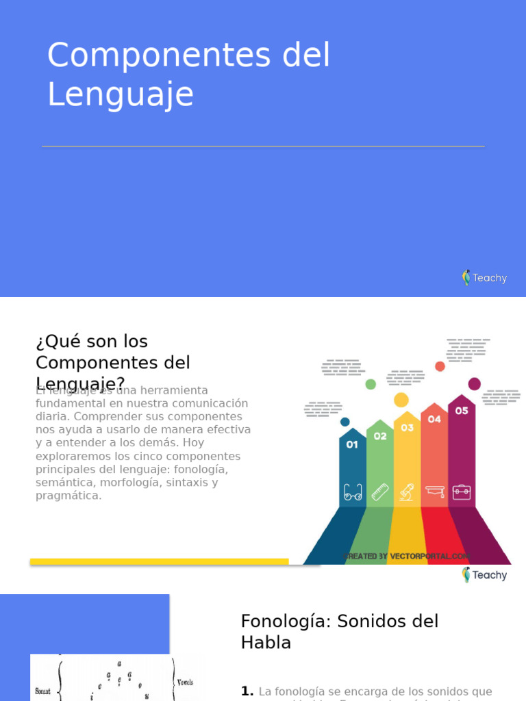 Etapas del Lenguaje: Componentes Clave | PDF | Morfología (Lingüística ...