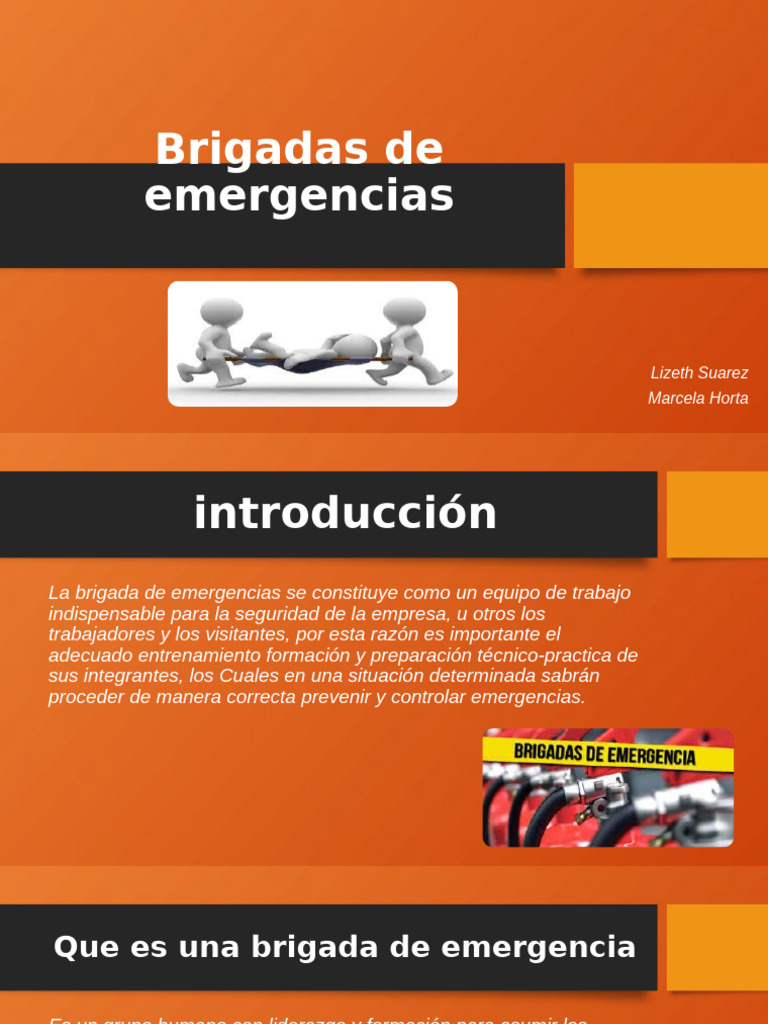 Brigadas de Emergencias | PDF | Business | Emergencia